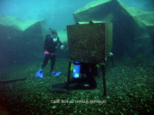 Ben McDaniel vanished in an underwater cave at Vortex Spring. Fifteen ...