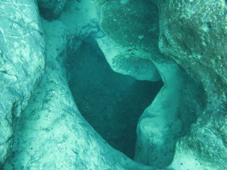 Ben McDaniel vanished in an underwater cave at Vortex Spring. Fifteen ...