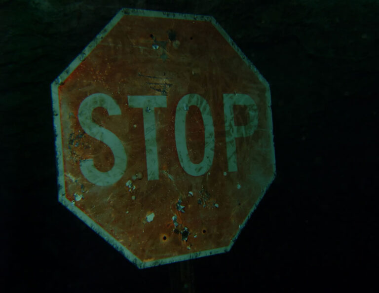 Ben McDaniel vanished in an underwater cave at Vortex Spring. Fifteen ...